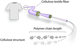 Identification of cellulose textile fibers - Analyst (RSC Publishing)