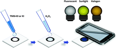 Non-enzymatic colorimetric detection of hydrogen peroxide using a μPAD ...