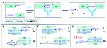 DNA tile self-assembly driven by antibody-mediated four-way branch ...