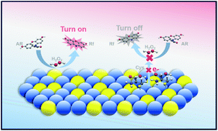 High-efficiency peroxidase mimics for fluorescence detection of H2O2 ...