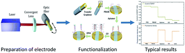 An optic-fiber graphene field effect transistor biosensor for the ...