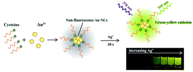 Highly selective and rapid detection of silver ions by using a “turn on ...