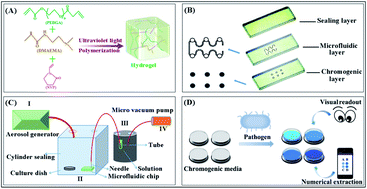 Fabrication of a novel hydrogel-based microfluidic chip and its ...