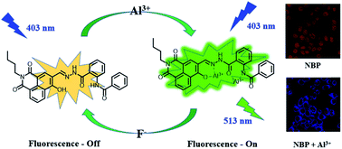 A novel reversible fluorescent probe based on naphthalimide for sequential detection of aluminum ...