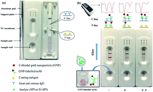 Quantitative and rapid detection of spinosad and spinetoram by a gold ...