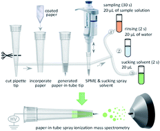 Portable paper-in-tip spray ionization for the direct mass ...