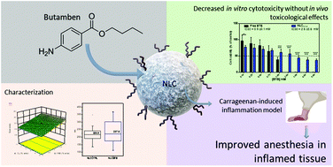 Lipid nanoparticles loaded with butamben and designed to improve ...