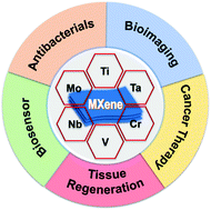 Fascinating MXene nanomaterials: emerging opportunities in the ...
