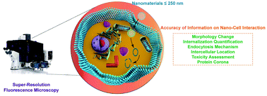 Advances in super-resolution fluorescence microscopy for the study of ...