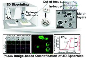 A 3D cell printing-fabricated HepG2 liver spheroid model for high ...