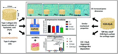 A highly porous type II collagen containing scaffold for the treatment ...