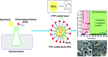 Bi2O3 nanoparticles exhibit potent broad-spectrum antimicrobial ...