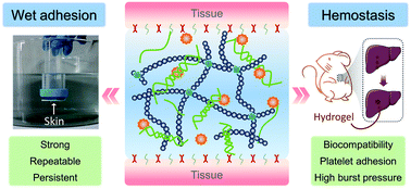 Hydrogel adhesive formed via multiple chemical interactions: from ...