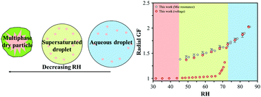 Hygroscopic growth of simulated lung fluid aerosol particles under ...