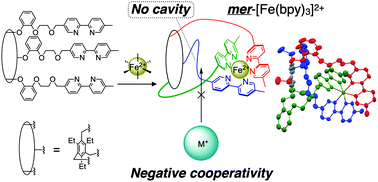 Exclusive formation of a meridional complex of a tripodand and perfect ...