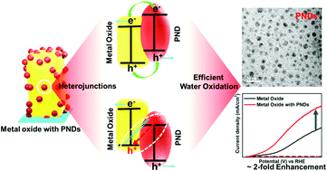 Phosphorus nitride nano-dots as a versatile and metal-free support for ...