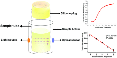 The single-tube quantitative rapid detection of coliform bacteria based ...