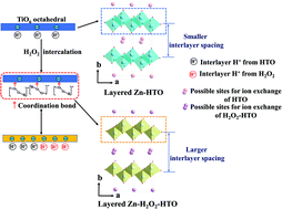 Remarkably enhanced ion-exchange capacity of H2O2-intercalated layered ...