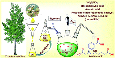Heterogeneous vanadium-catalyzed oxidative cleavage of olefins for ...