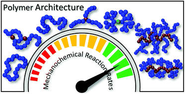 The influence of polymer architecture in polymer mechanochemistry ...