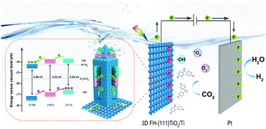 In situ construction of 3D TiO2 photoelectrode with multilevel facet ...