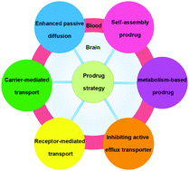 Prodrug strategy for enhanced therapy of central nervous system disease ...
