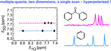 Ultrafast 2D 1H–1H NMR spectroscopy of DNP-hyperpolarised substrates ...