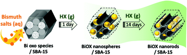 Formation of BiOX (X = Cl and Br) in a mesoporous silica by the ...