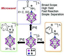 B–N bond formation through palladium-catalyzed, microwave-assisted ...