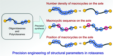 Precision synthesis of linear oligorotaxanes and polyrotaxanes ...
