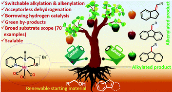 Manganese catalyzed switchable C-alkylation/alkenylation of fluorenes ...