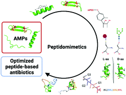 Advances on chemically modified antimicrobial peptides for generating ...