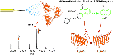 Mass spectrometry enables the discovery of inhibitors of an LPS ...
