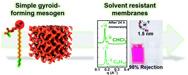 Stable cross-linked lyotropic gyroid mesophases from single-head/single ...