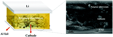 An integrated cathode and solid electrolyte via in situ polymerization ...