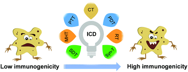 Immunogenic cell death inducers for enhanced cancer immunotherapy ...