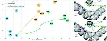 Fragment evolution for GPCRs: the role of secondary binding sites in ...