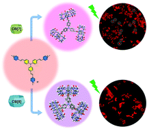Single-crystal structures of cucurbituril-based supramolecular host ...