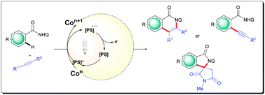 C–H bond functionalization by dual catalysis: merging of high-valent cobalt and photoredox ...