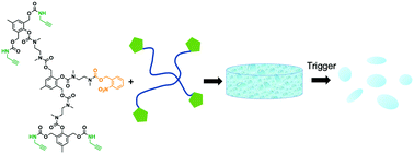 Self-immolative dendron hydrogels - Chemical Communications (RSC ...
