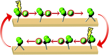 Reversible 1D chain-reaction gives rise to an atomic-scale Newton's ...