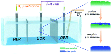 Recent advances in the pre-oxidation process in electrocatalytic urea ...