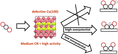 Potential-dependent C–C coupling mechanism and activity of C2 formation ...