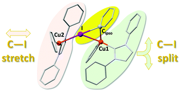 Copper(i) activation of C–X bonds: bimolecular vs. unimolecular ...