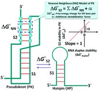 Applicability of the nearest-neighbour model for pseudoknot RNAs ...