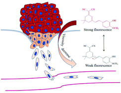Assessment of cancer cell migration using a viscosity-sensitive ...