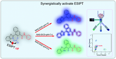 A specific esterase and pH logically regulate ESIPT: different kinds of ...