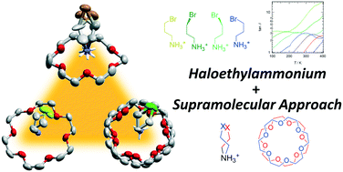 Molecular motion of halogenated ethylammonium/[18]crown-6 ...