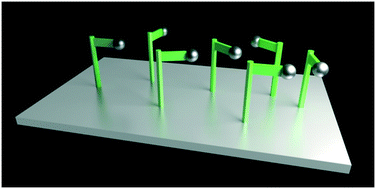 Growing a CdS flag from a wire with in situ control of the catalyst ...
