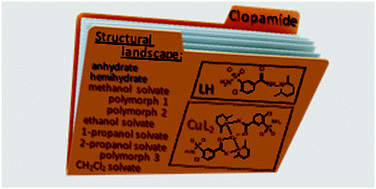 Solvatomorph and polymorph screening of clopamide drug and its copper ...